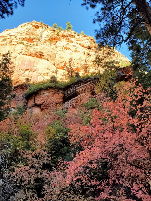Spring Creek Canyon, A Perfect Little Fall Hike, Kanarraville, UT – On ...
